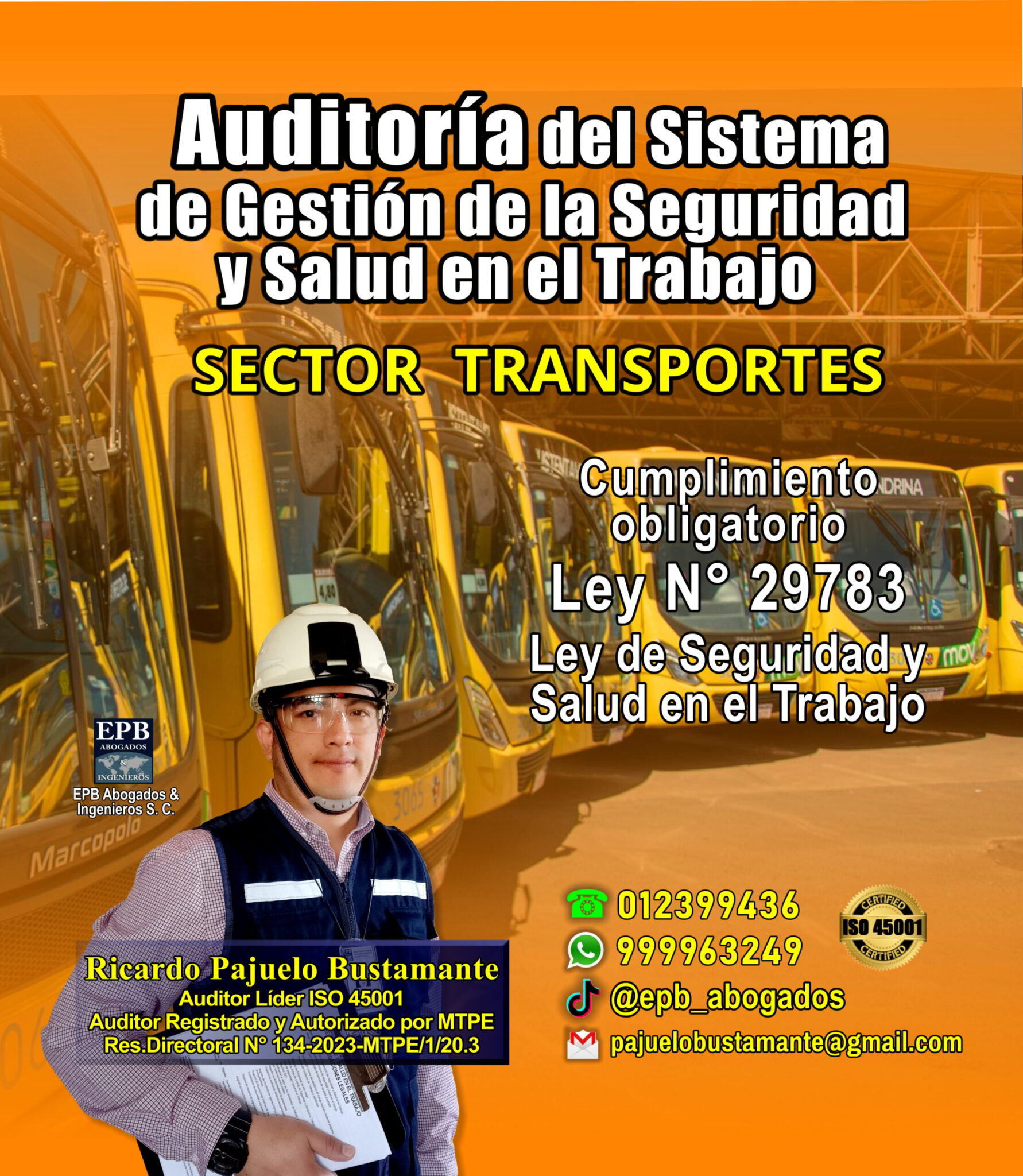 Auditoría del Sistema de Gestión de la Seguridad y Salud en el Trabajo ...